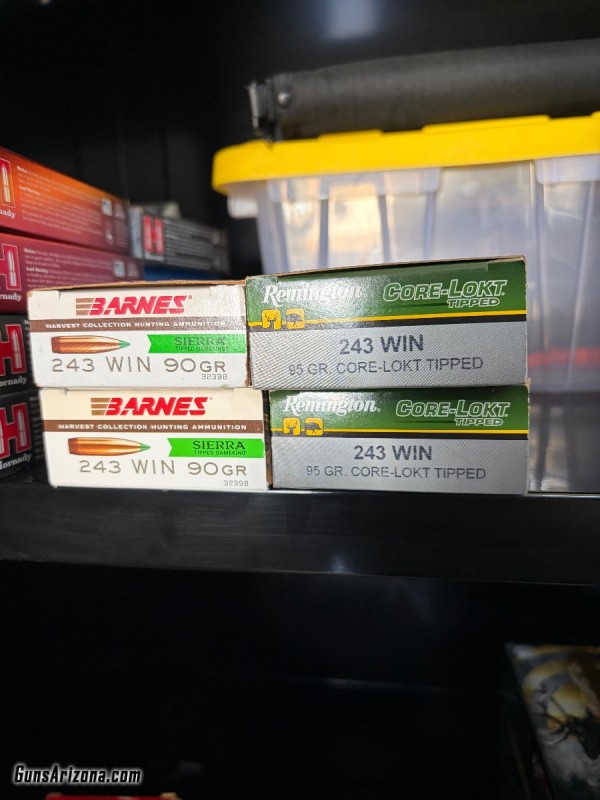 Ammo 242, 6.5prc, 6.5cm, 270win | Ammunition | Apache Junction | Guns ...